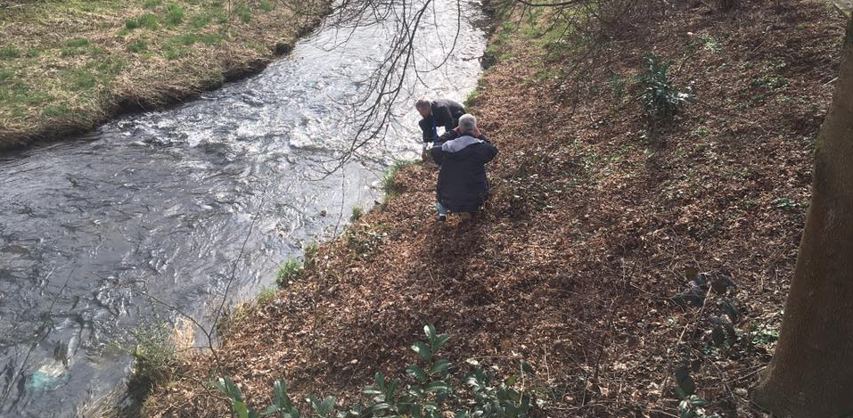 The Chesapeake Bay: Hope for a Clear Future – Theresa Schempp